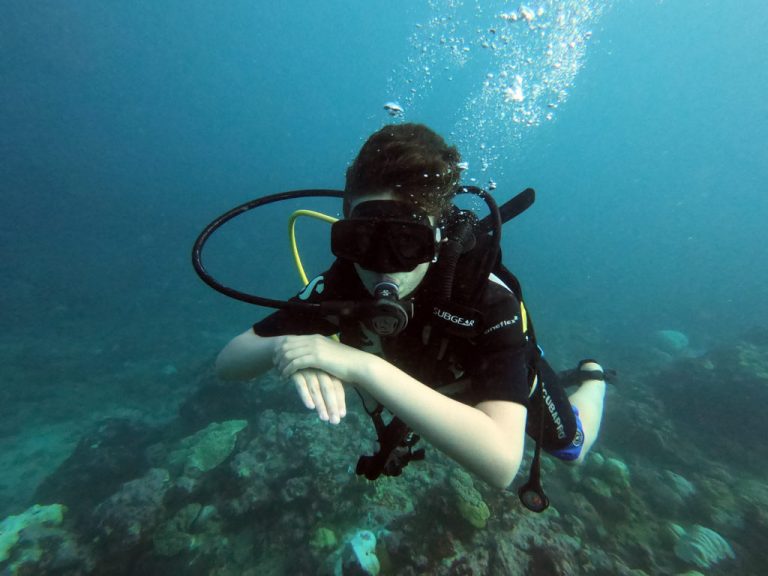 Dive Passion Mauritius | Dive, Experience, Explore